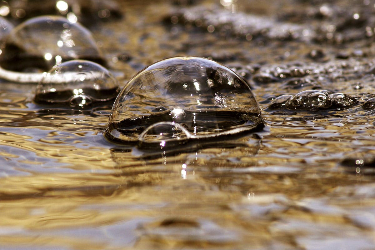 Purification and the Evolution of Consciousness