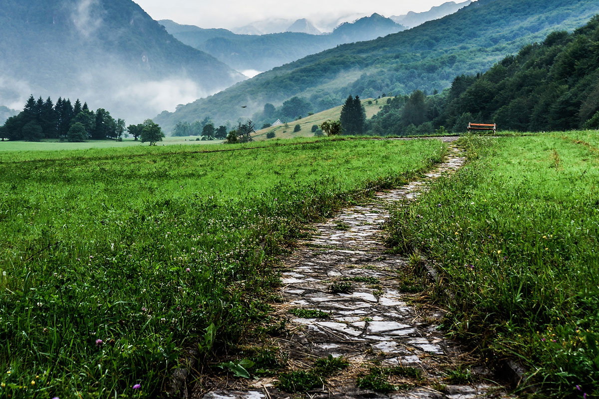 Ram Dass on Discovering Your True Work Path • Ram Dass